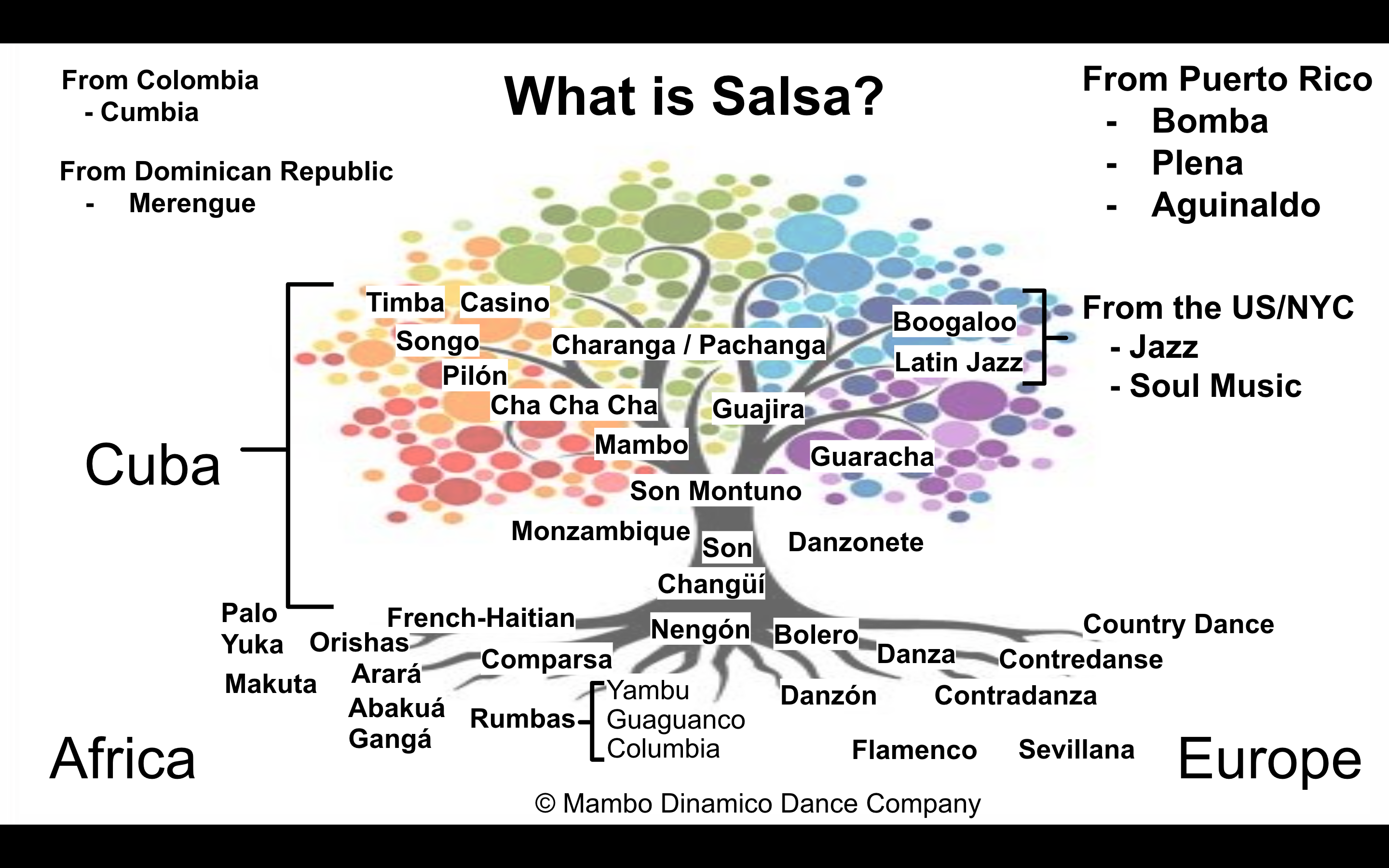 Salsa Syllabus – Mambo Dinamico